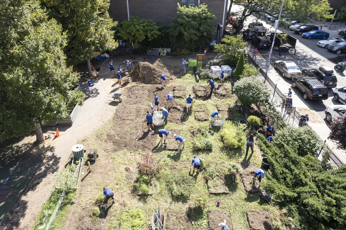 Expanding a Sprawling Community Garden in East Harlem - New York ...