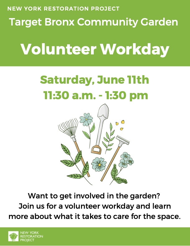 Target Bronx Volunteer Workday - New York Restoration Project