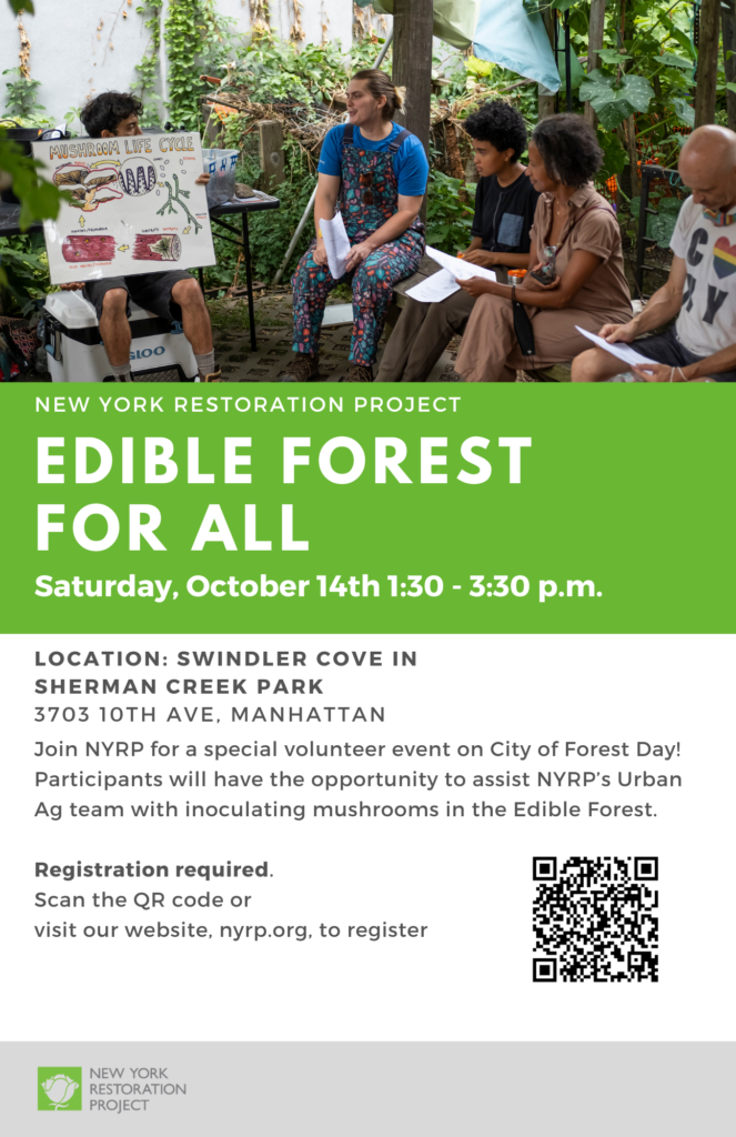 City of Forest Day: Edible Forest for All - New York Restoration Project