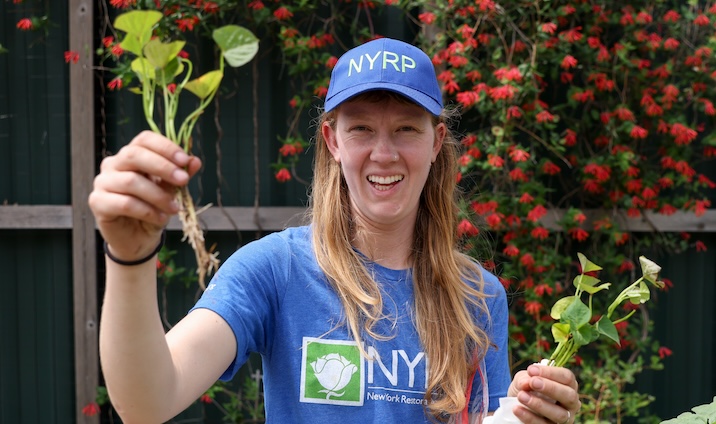 Urban Agriculture Support for Over 1,000 New Yorkers - New York ...
