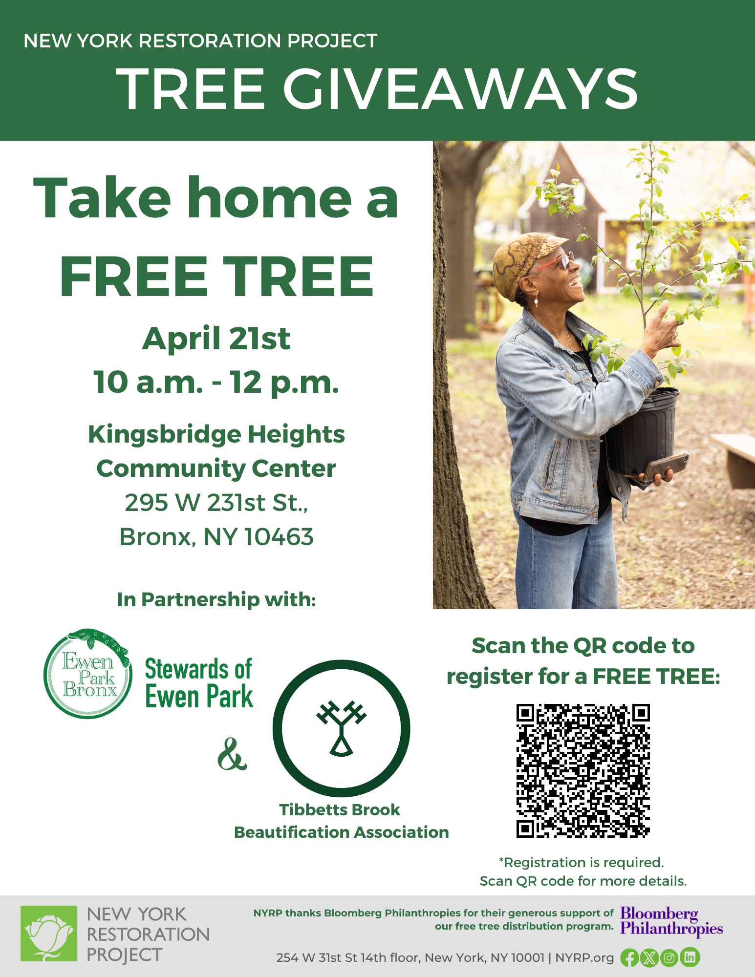 Nys Tree Identification Chart Tree Giveaway: Stewards Of Ewen Park,