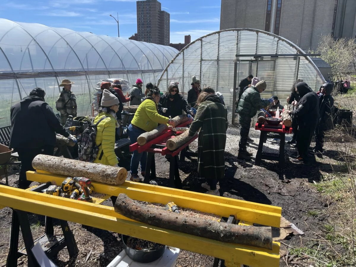 Urban Agriculture: Shiitake Mushroom Log Workshop with Bissel Gardens ...