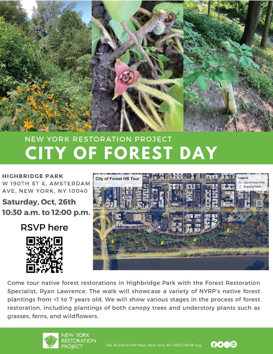 City of Forest Day 2024: Tour a Native Forest in Manhattan - New York ...