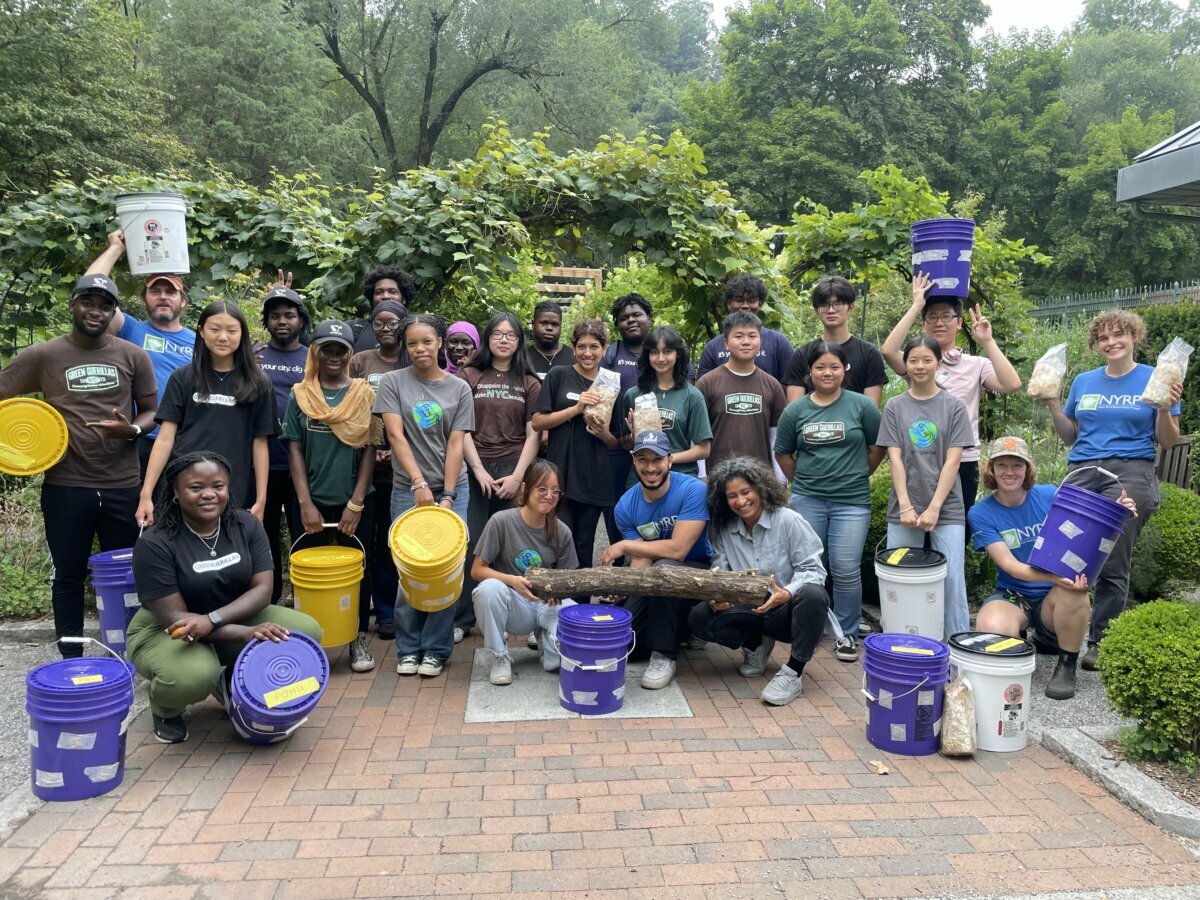 Urban Agriculture: Volunteer in the Demonstration Garden - New York ...