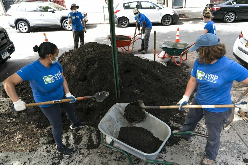 Working at NYRP for 28 Years and Counting - New York Restoration Project