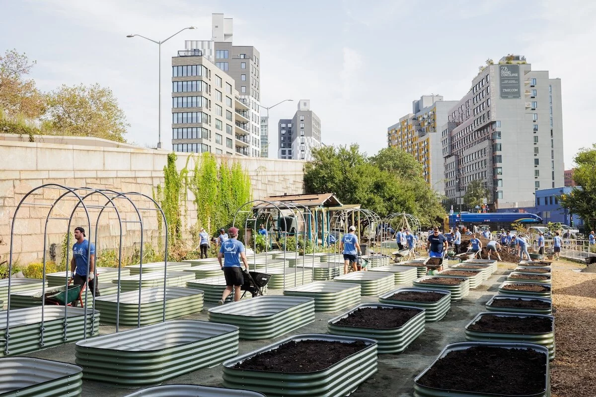 Helping Revitalize a South Bronx Urban Farm - New York Restoration Project